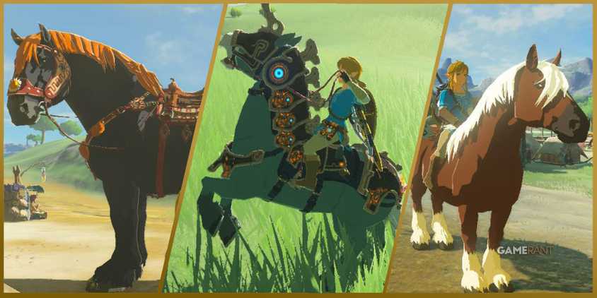 Zelda: BotW - All Elixir Recipes