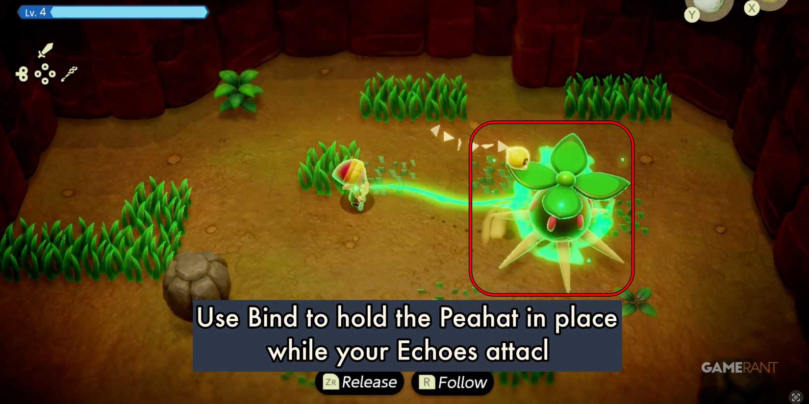 Where to Find the Peahat Echo in Zelda: Echos of Wisdom