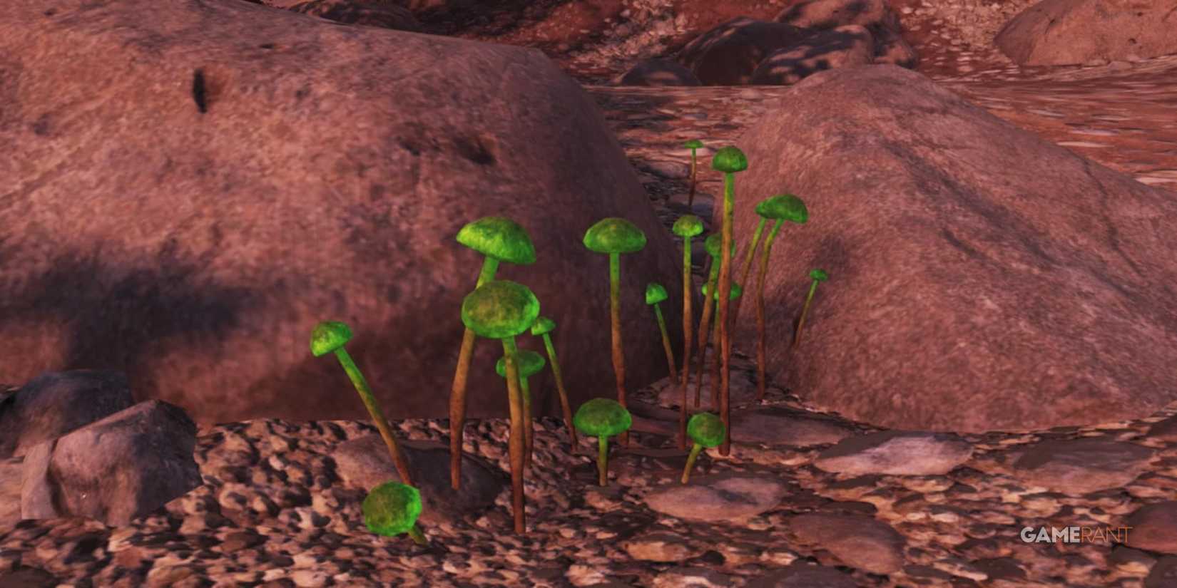 Fallout 76: Where To Find Glowing Fungus