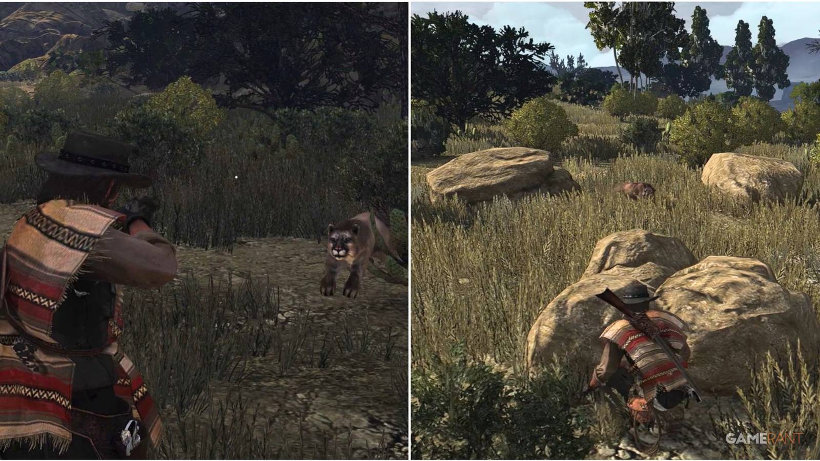 Red Dead Redemption: Where to Find Cougars