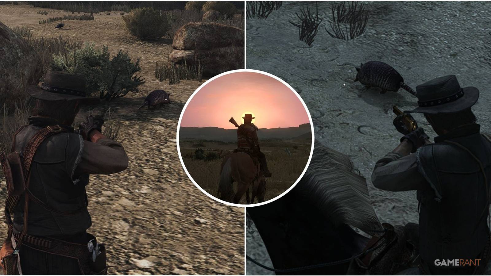 Red Dead Redemption: Where To Find Armadillos