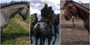 The Best Horses In Kingdom Come Deliverance 2