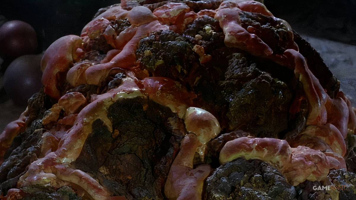 Star Trek: The Horta, Explained