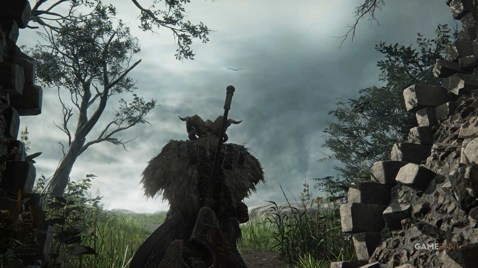 Elden Ring Nightreign: Raider Class Guide