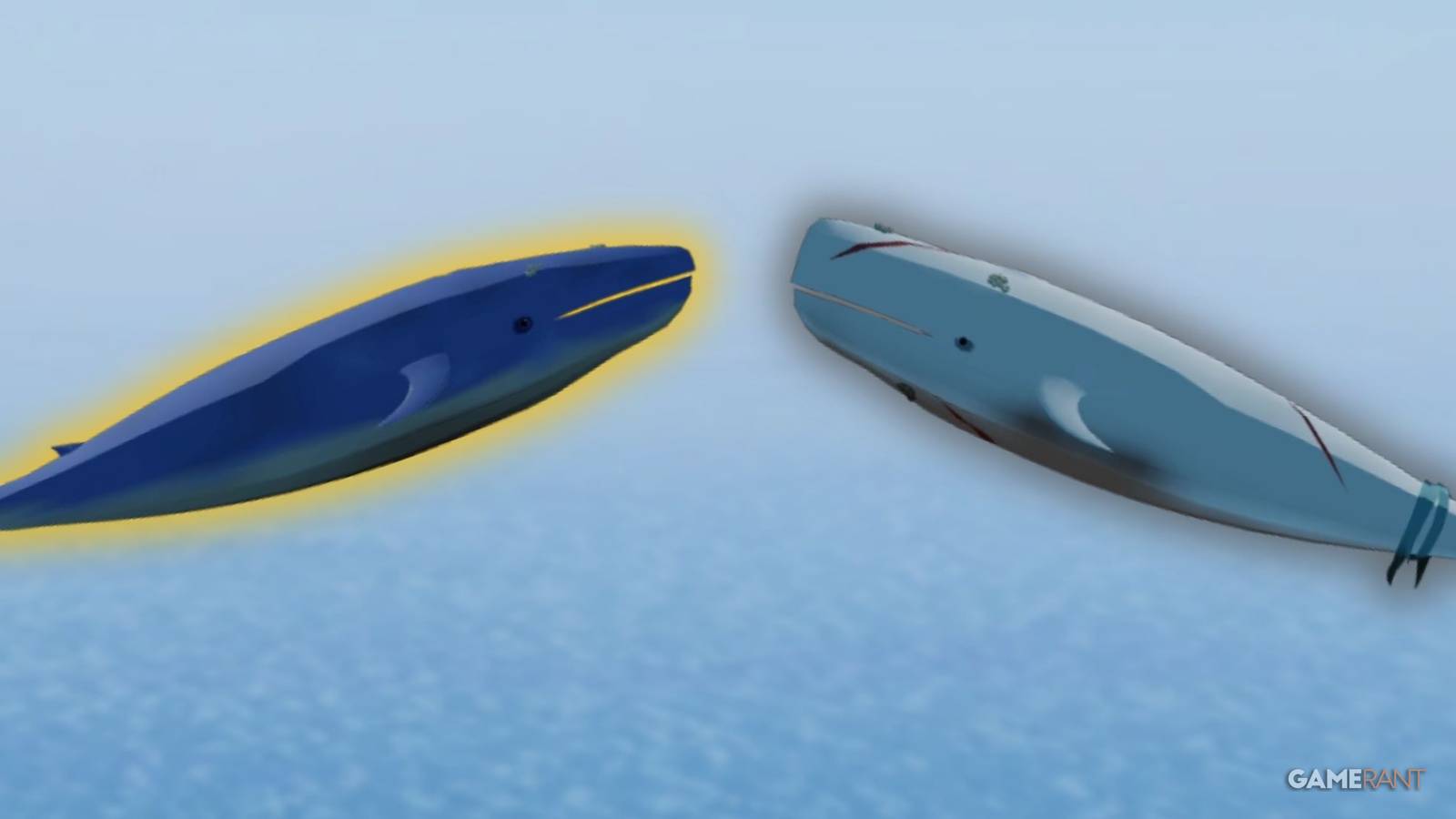 Fisch: Complete Whale Migration Guide