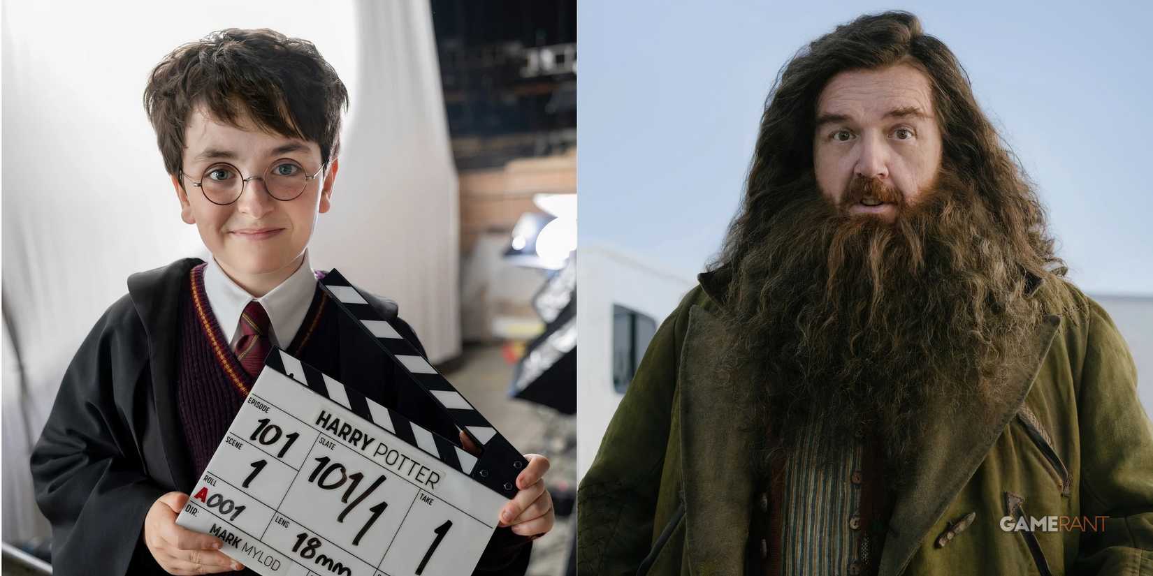 'Looks Like a Prosthetic Head’ Harry Potter Fans Baffled Over New ...