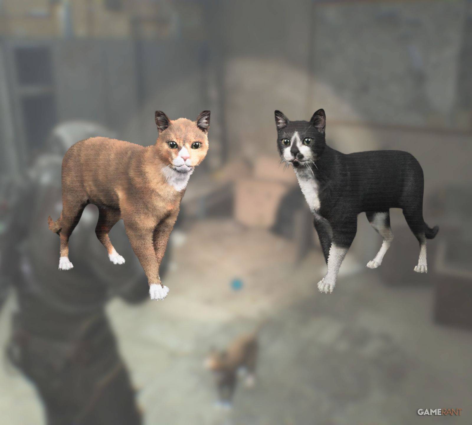 Cat Chartúin Ag Rith