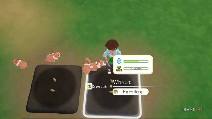 The Complete Guide to Fertilizer in Starsand Island