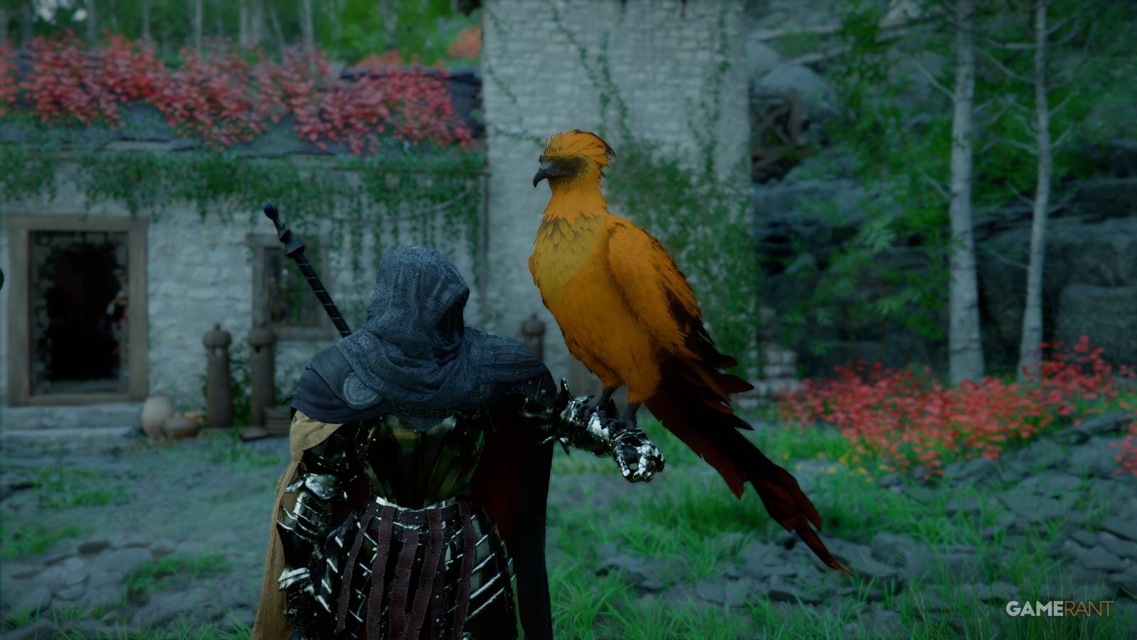 How to Get the Legendary Phoenix in Crimson Desert